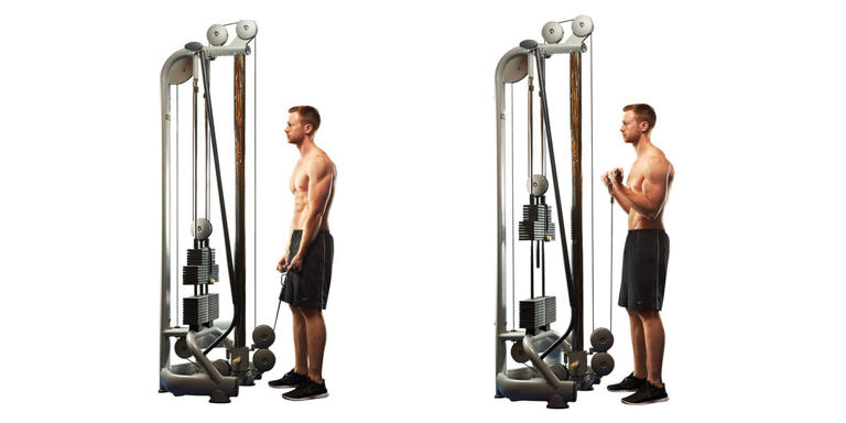 How Mark Wahlberg, 54, builds a strong back and big biceps – steal his ...