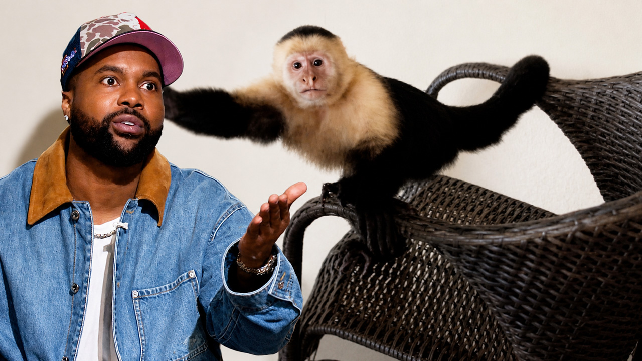 Wild animals create unexpected and funny situations