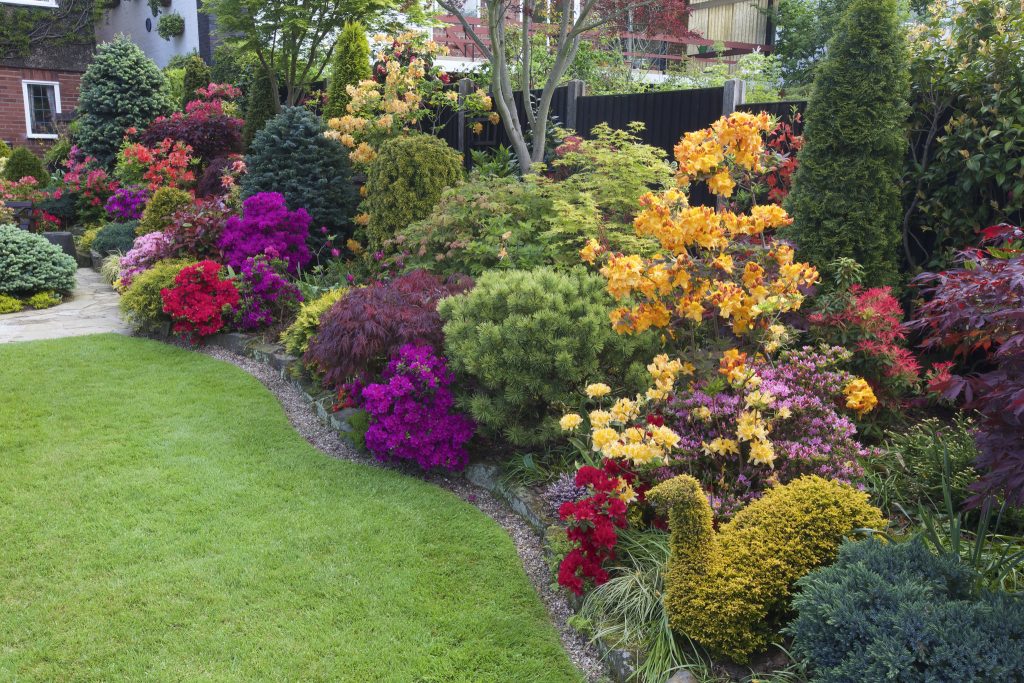 16 year-round color flower bed ideas that keep your garden blooming