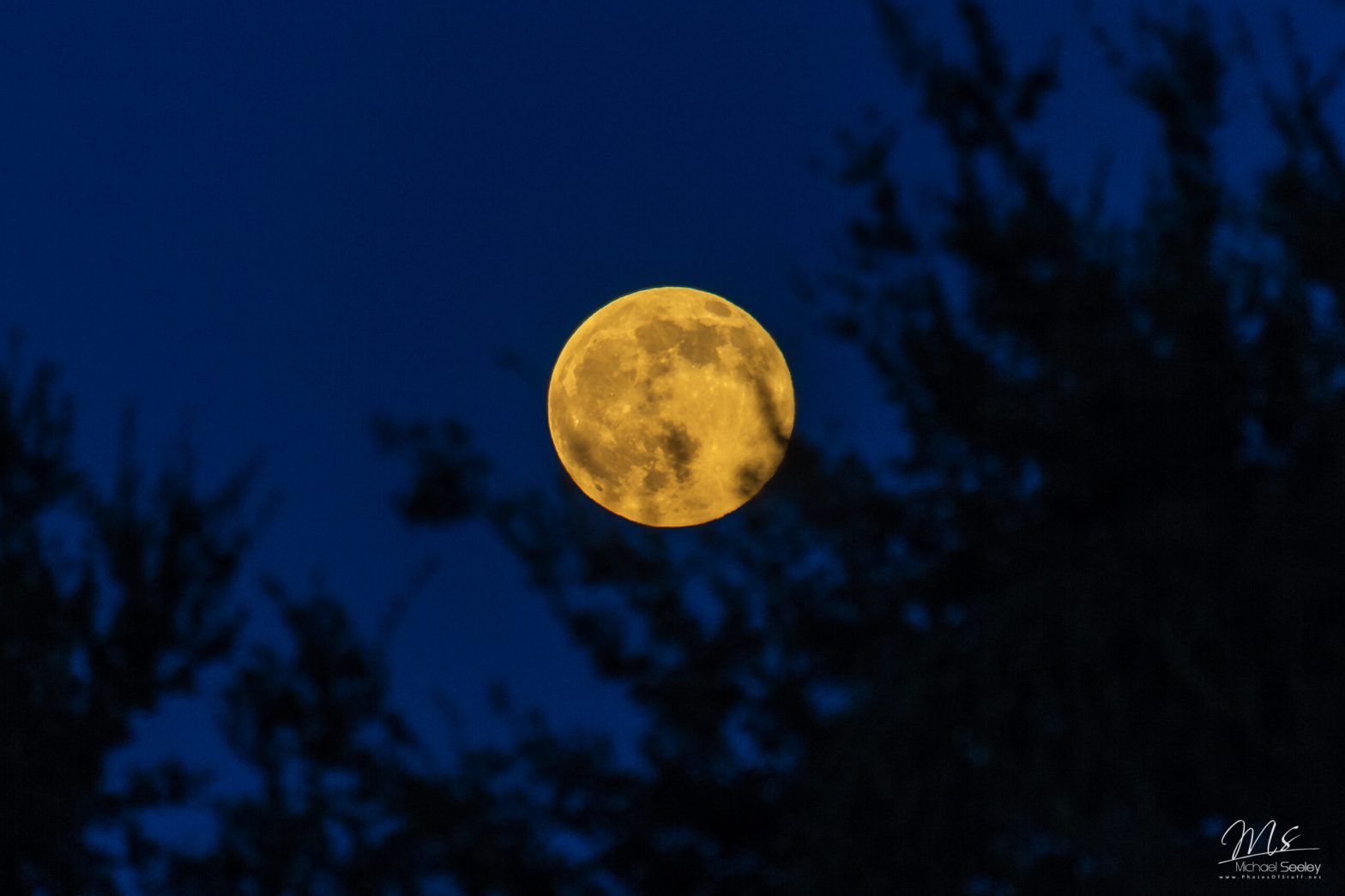 2026 full moon calendar: When to see the full moon and phases