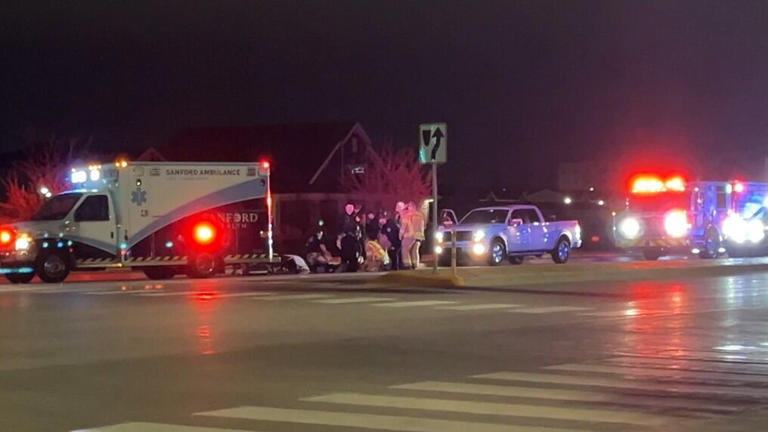 New details in fatal West Fargo pedestrian crash as case forwarded to ...