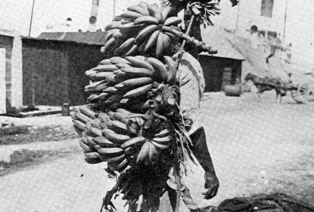 Strange cases of genetic engineering from history