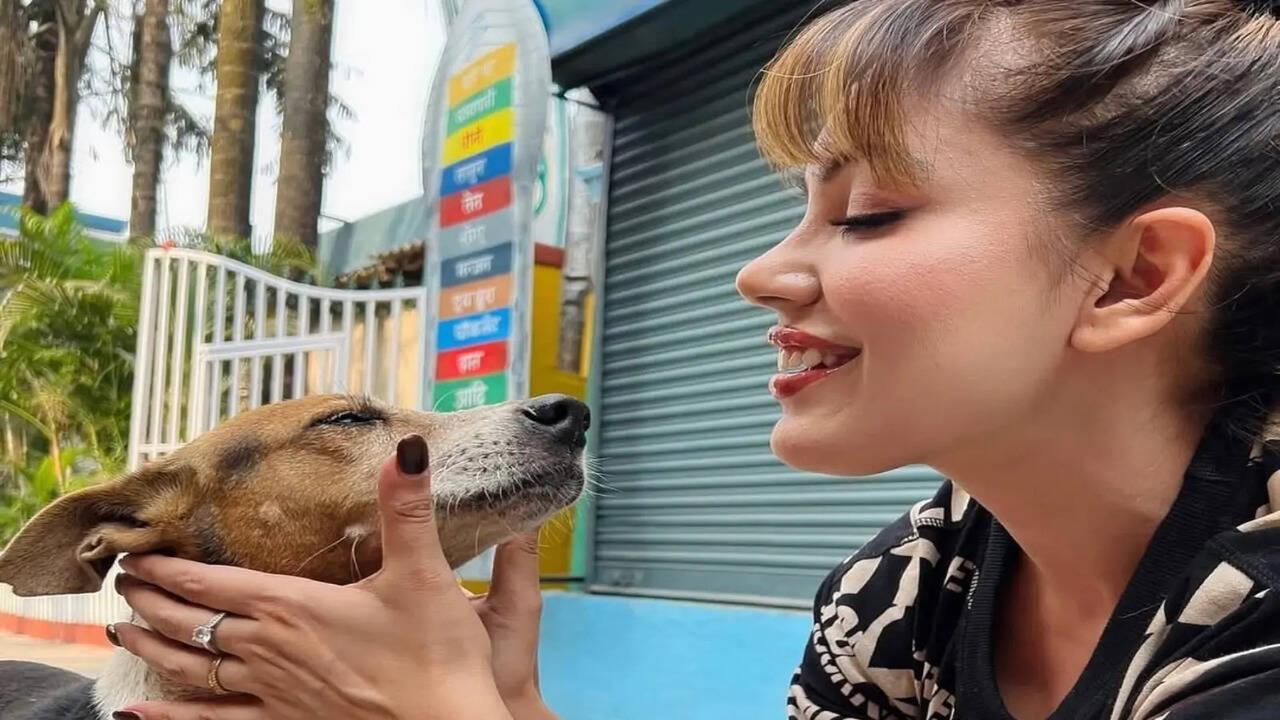 TMKOC’s Babita aka Munmun Dutta’s favourite dog killed mercilessly: My ...