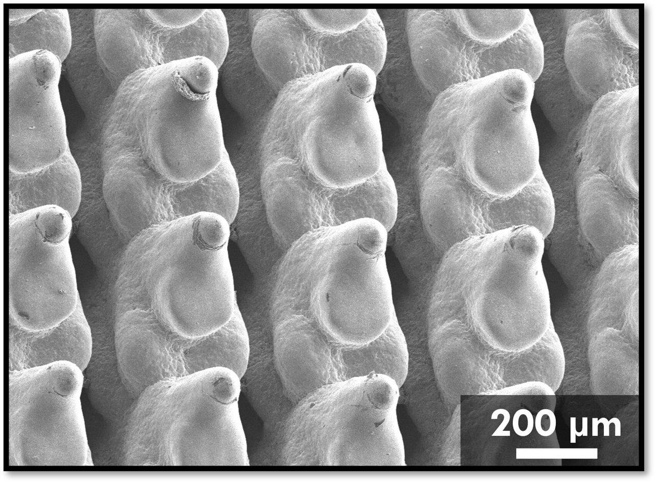 Copper cold plates could slash data-center energy usage