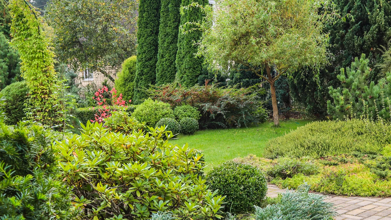 Eleven ground covers that spread fast and leave weeds nowhere to go