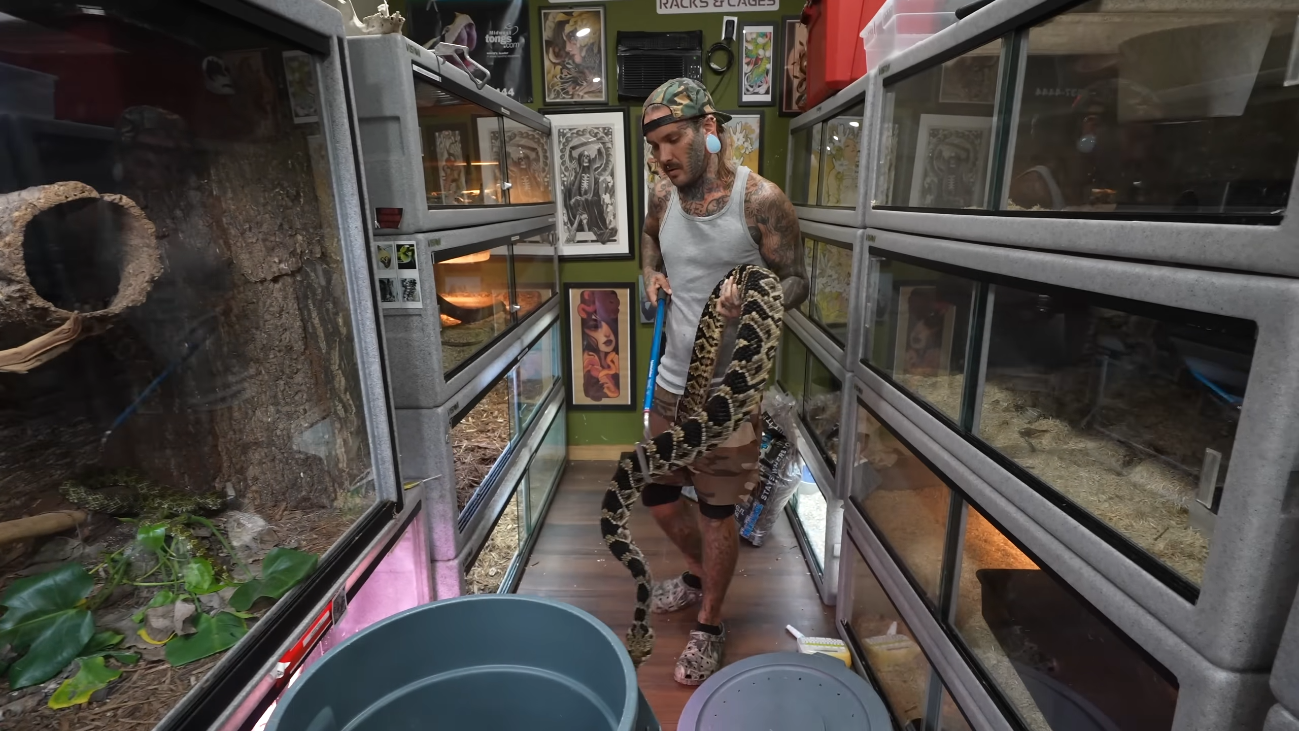 Deadly escape happened in the venomous snake room