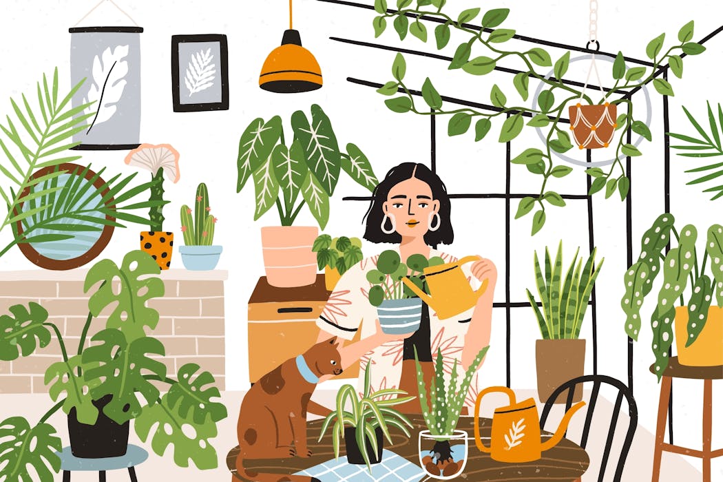 Can houseplants really purify the air in your home? What the science ...
