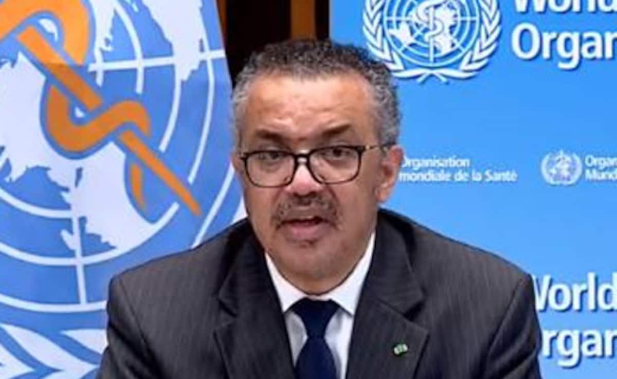 More cases may appear soon, but public health risk low: WHO chief on ...