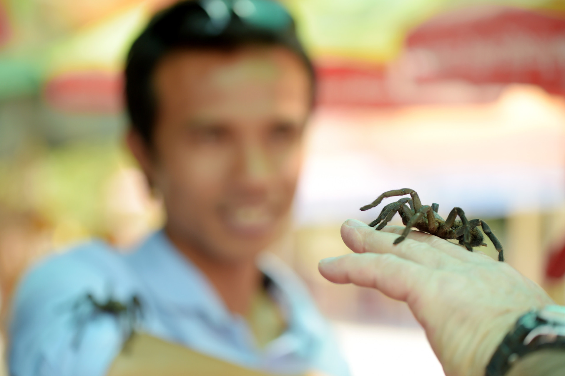 Scientists are warning that fear of nature is on the rise