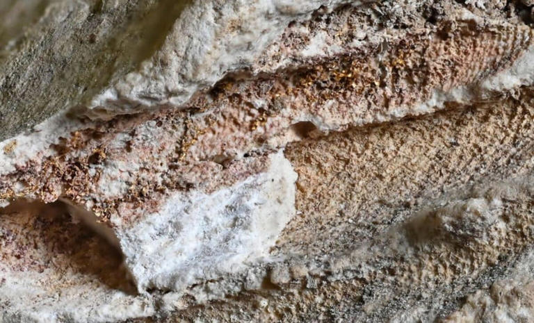 The rarest dye in the ancient world was found wrapped around two Roman ...