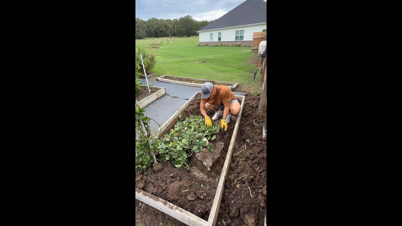 I thought it was a small rock - then the excavator showed up