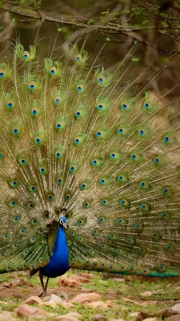 Perfect wildlife moment captured in nature