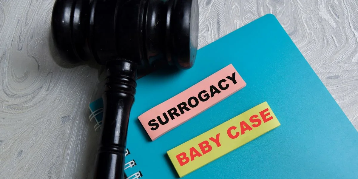 Ukraine may bar foreigners from surrogacy market