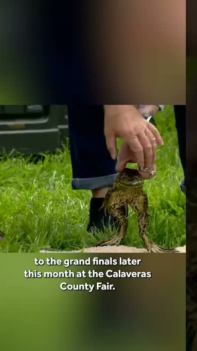 Lawmakers compete in Capitol frog jump