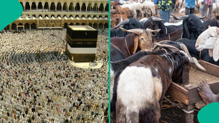 Key activity and 5 other things to know about Eid al Adha 2026
