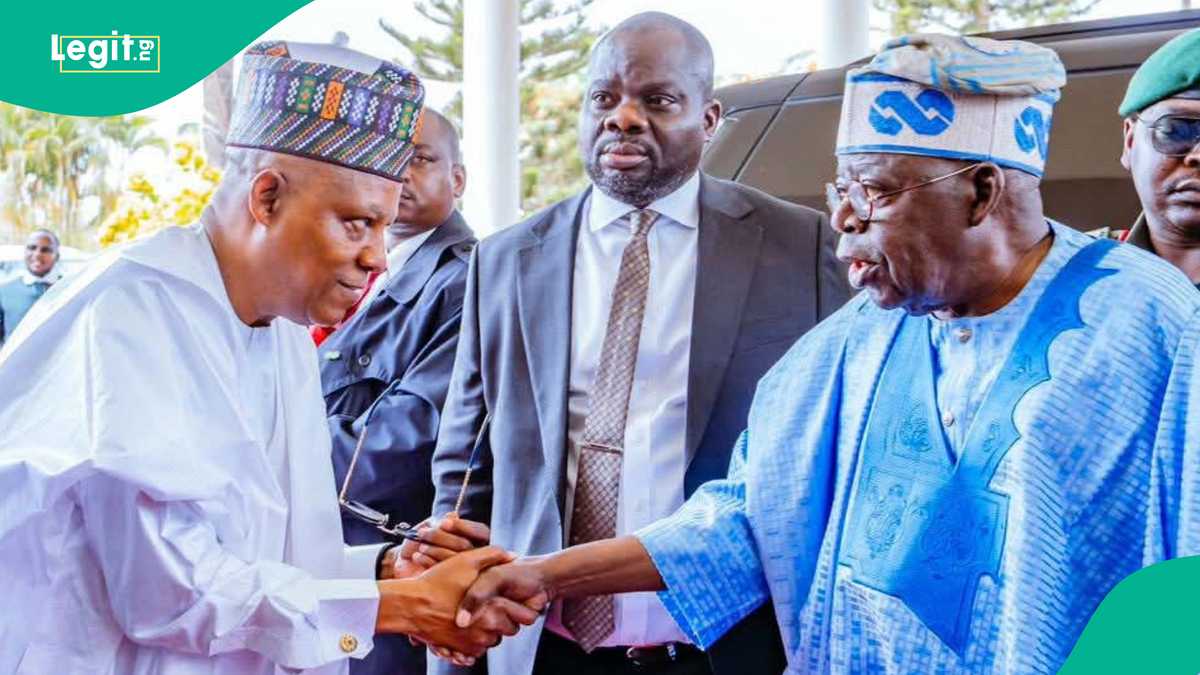 Viral video shows Shettima submitting Tinubu's nomination forms to APC NWC