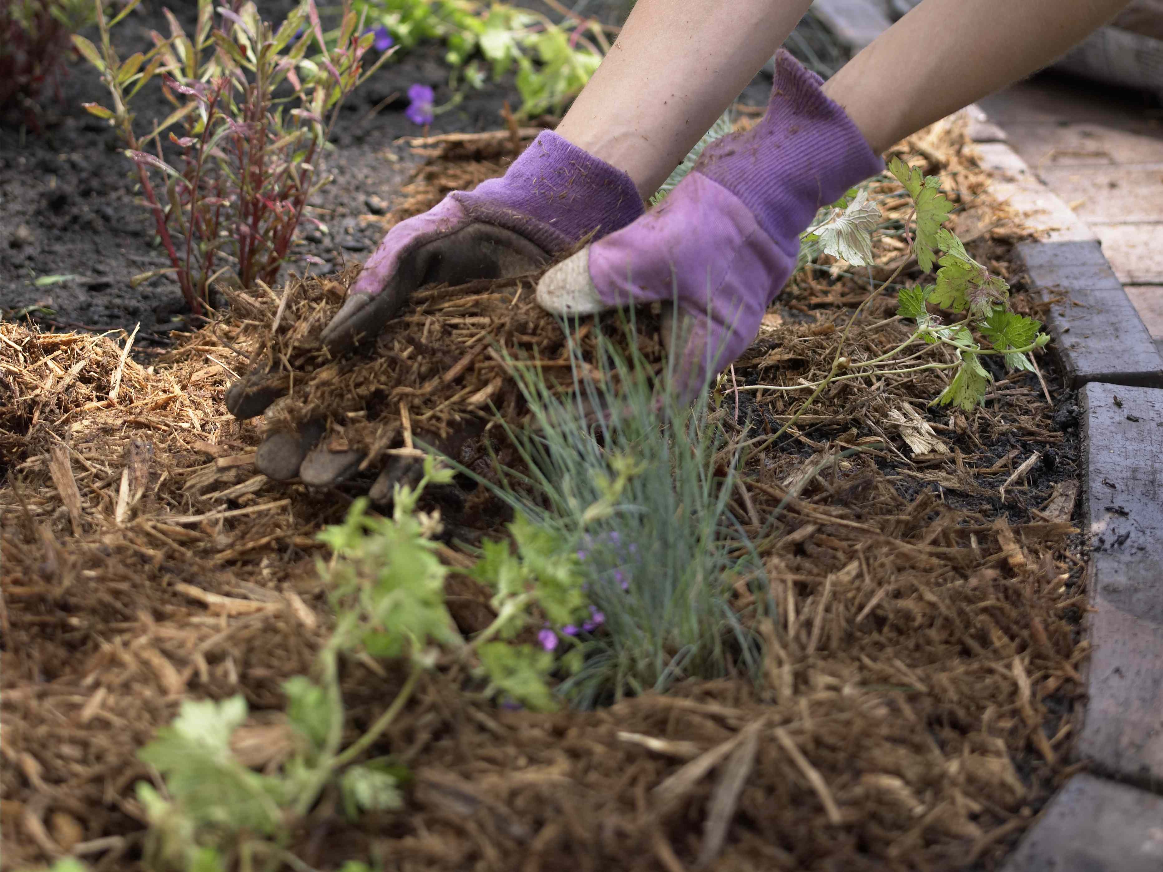 How much mulch do you really need? How to buy the right amount every time