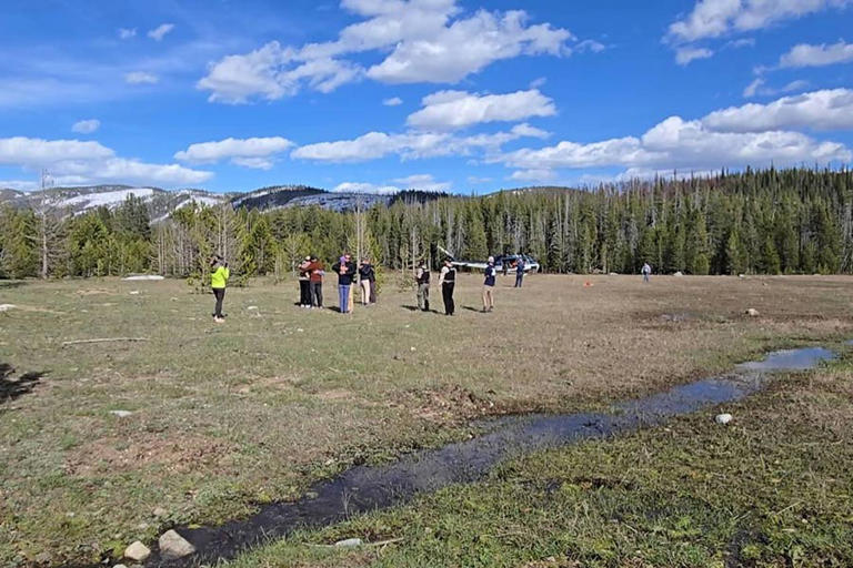 Man dies after becoming trapped under logs in Marsh Creek near Stanley