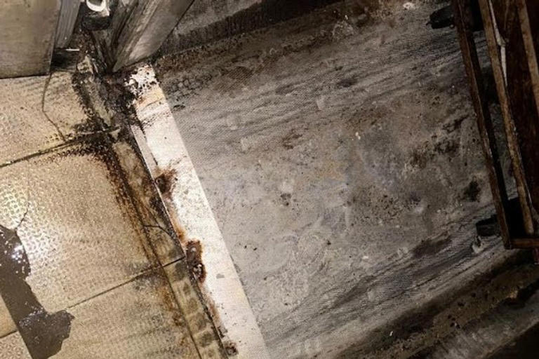 The shocking state of Morrisons bakery with filthy, crusty ovens and ...