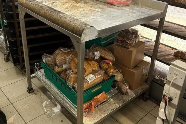 The shocking state of Morrisons bakery with filthy, crusty ovens and ...