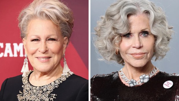 Bette Midler and Jane Fonda to headline protest concert for the First ...