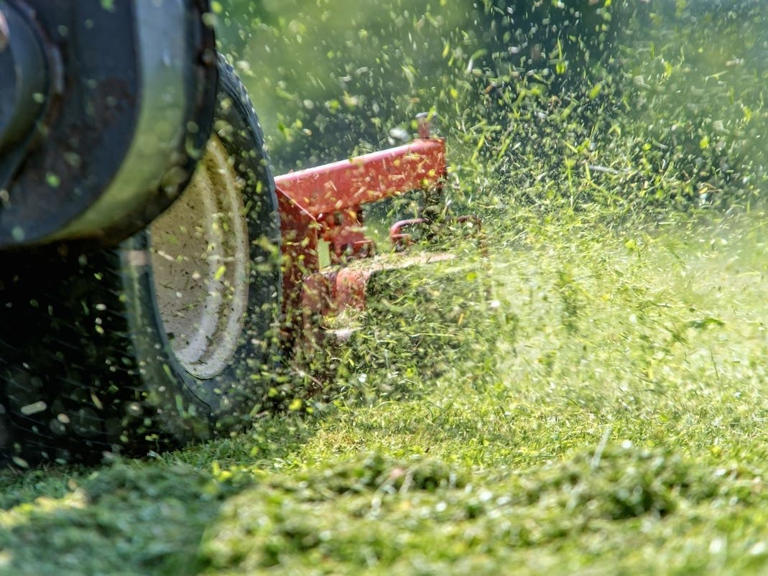 Hate mowing? West Hartford program will make you feel better about that