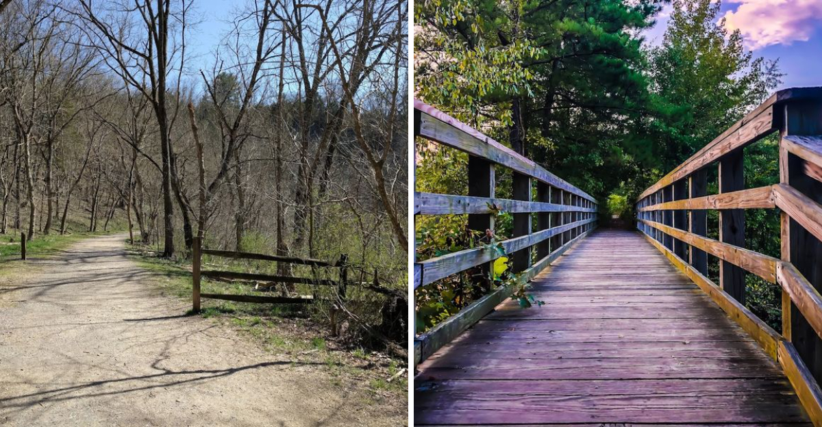10 senior-friendly and tranquil nature trails across Virginia