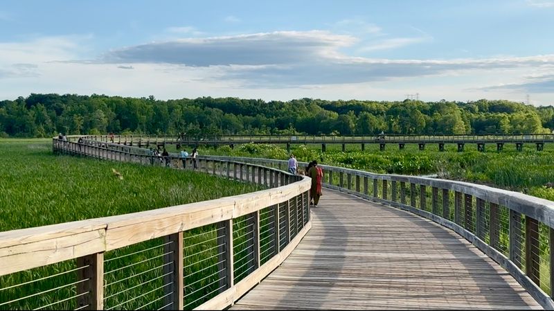 10 senior-friendly and tranquil nature trails across Virginia