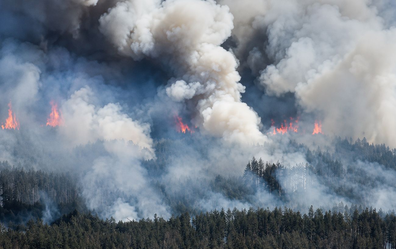 2,400 hectares of forest burning near Ukraine's border with Russia ...