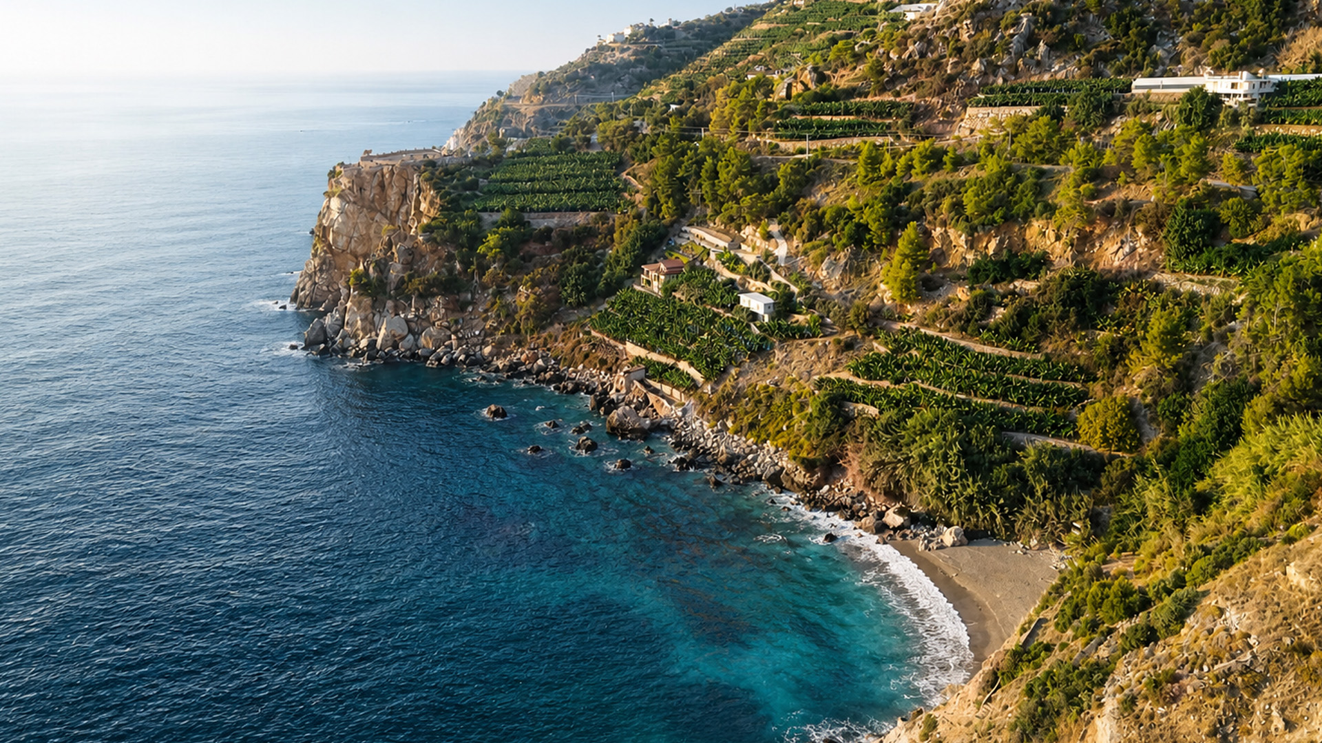 Terraced fields built on steep coastal slopes