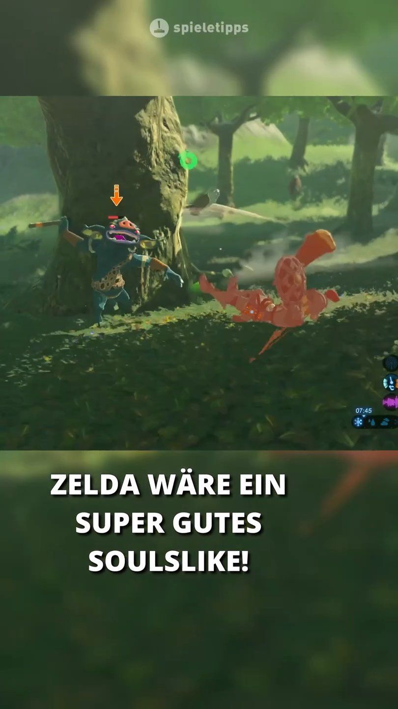 Zelda wäre ein super Soulslike
