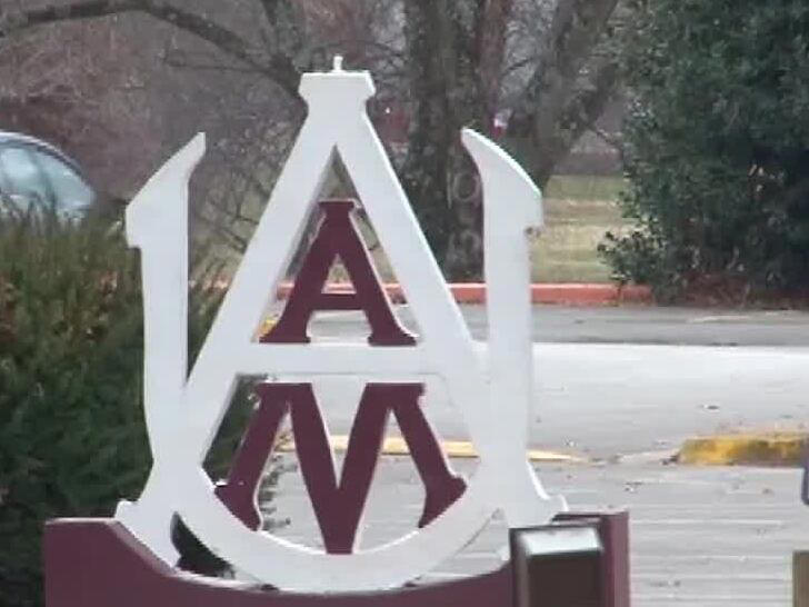Alabama A&M launches Bachelor of Science in artificial intelligence