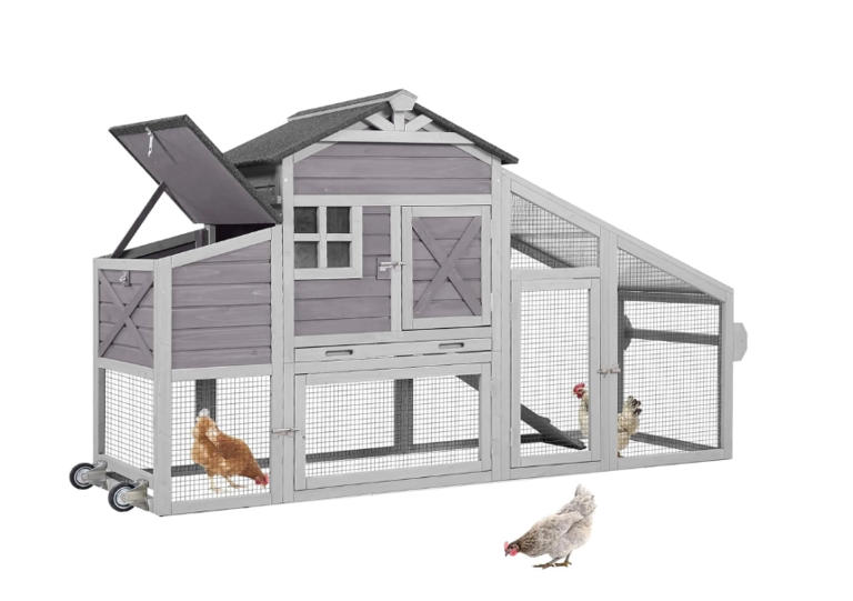 Backyard chicken coop deals at Walmart include coops, feeders, and more