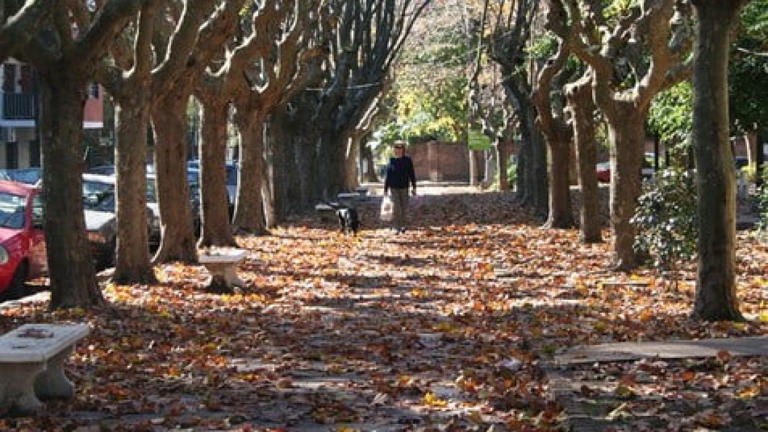 AMBA: ¿Cómo estará el clima este fin de semana?