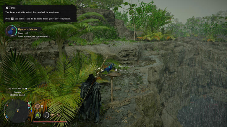 Here's how to tame Crimson Desert's new legendary blue parrot
