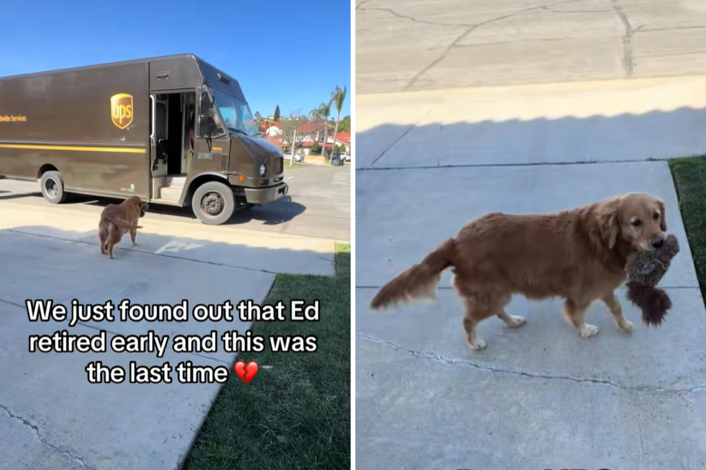 Dog’s favorite UPS driver retires, then comes heartwarming surprise