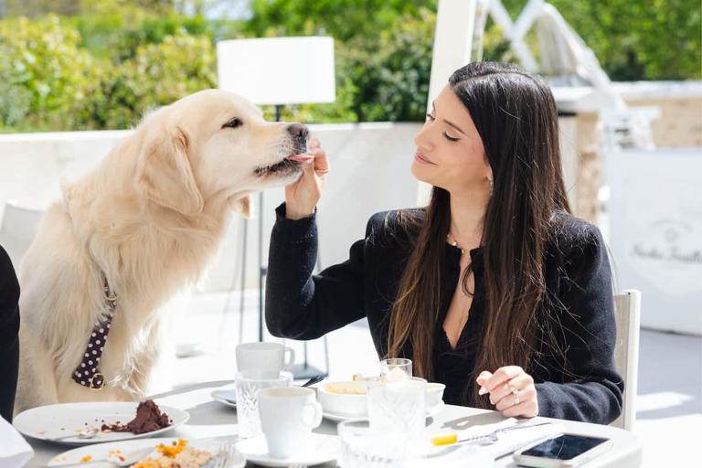 Dolce Versailles lance un brunch mensuel pour les maîtres et leurs chiens