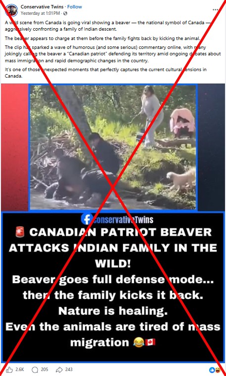 New Jersey beaver attack video misrepresented as showing Canadian newcomers