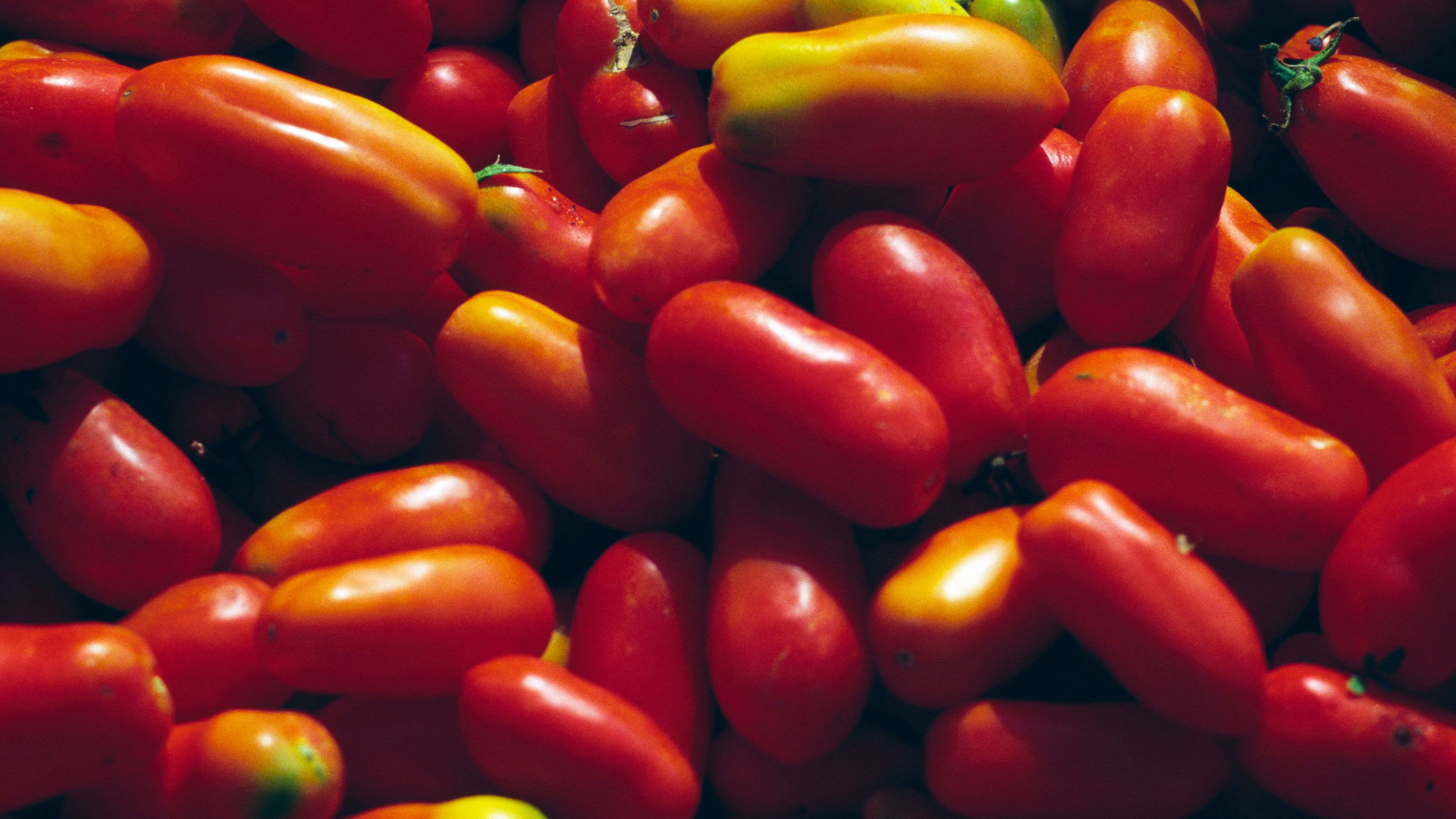 Italian food brand accused of 'tomato fraud'