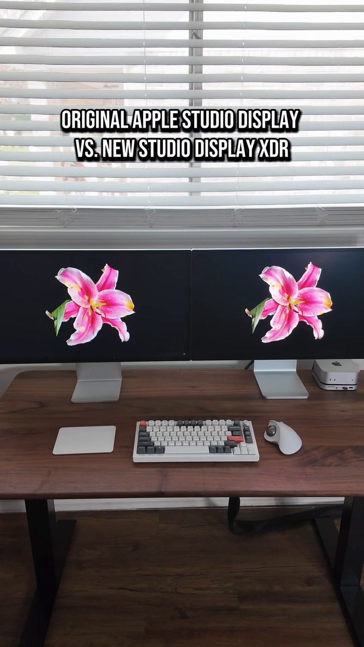 Apple Studio Display vs. New Studio Display XDR: Can you see the ...