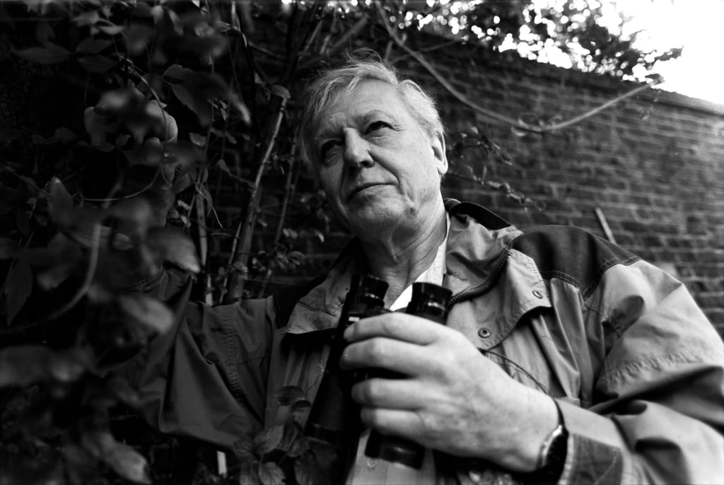 At 100, David Attenborough's voice is a lesson in wonder and planetary ...