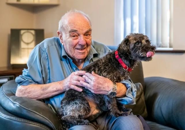 Owner convinced her dog has a grumpy old man trapped inside him