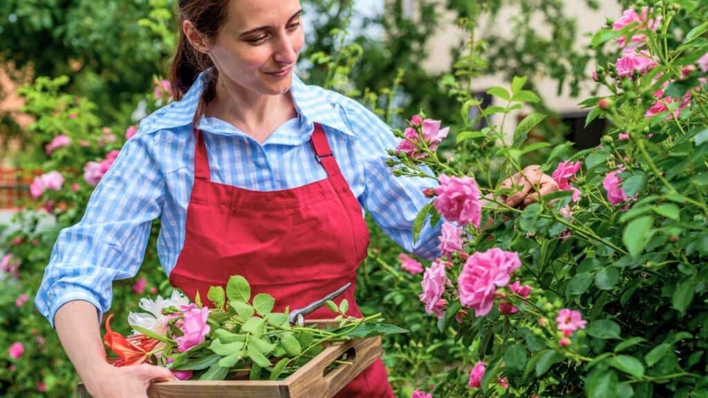 Boutique flower farms reshape how Americans gift with a new bouquet economy