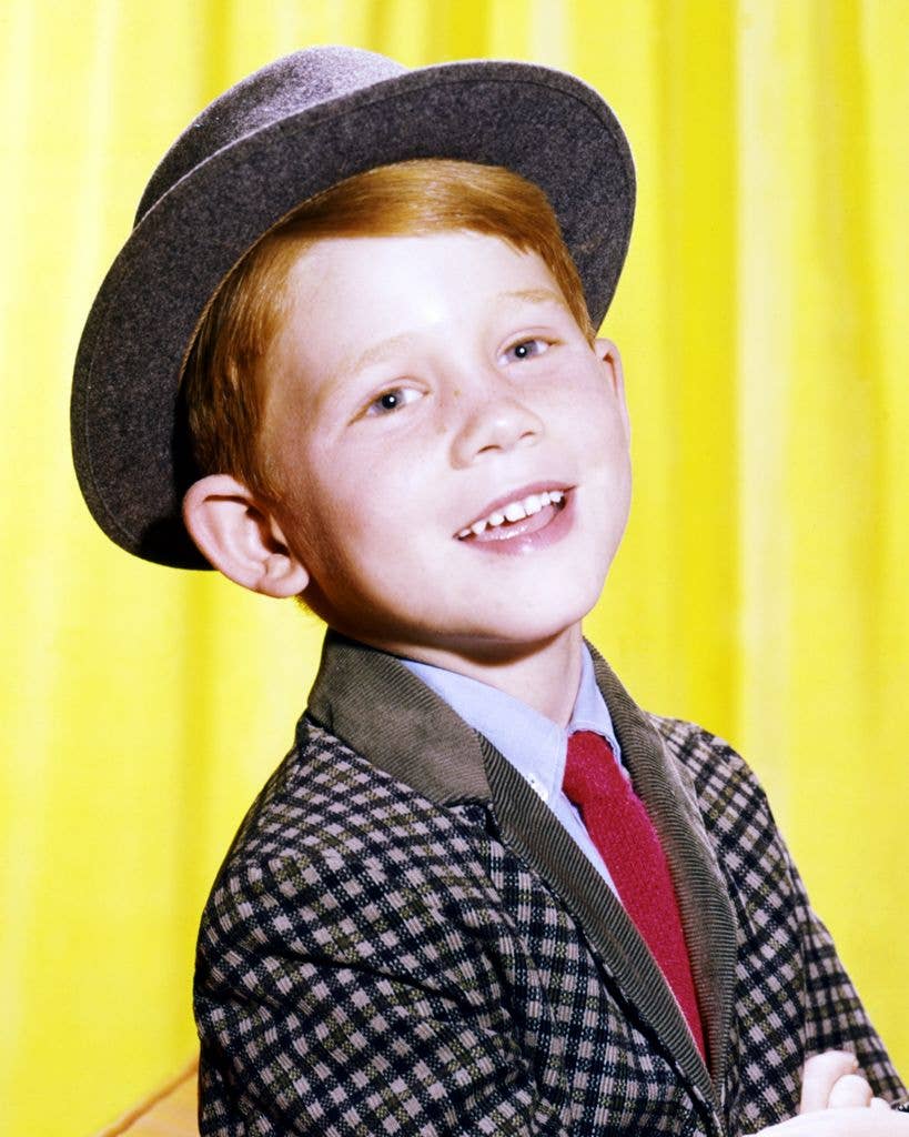 Meet Ron Howard's only sibling - who starred alongside him in 60s ...