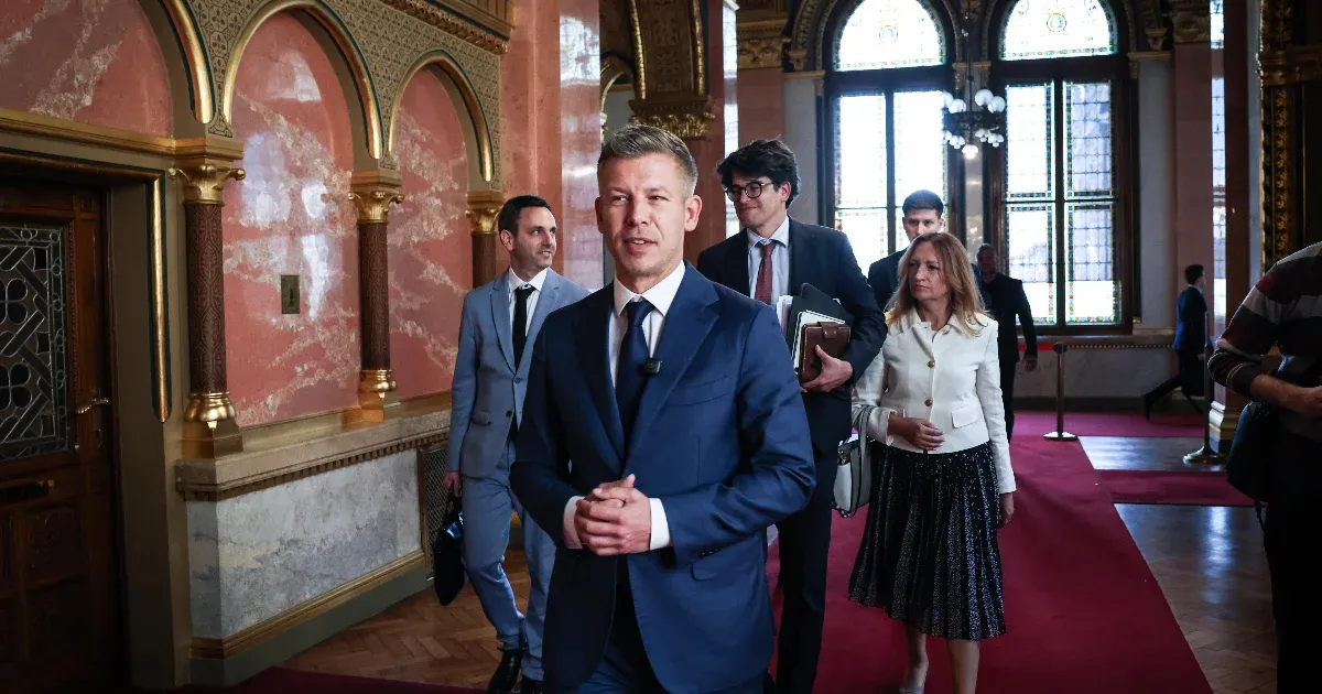 Magyar Péter pénteken jelenti be, hogy kit jelöl Melléthei-Barna Márton ...