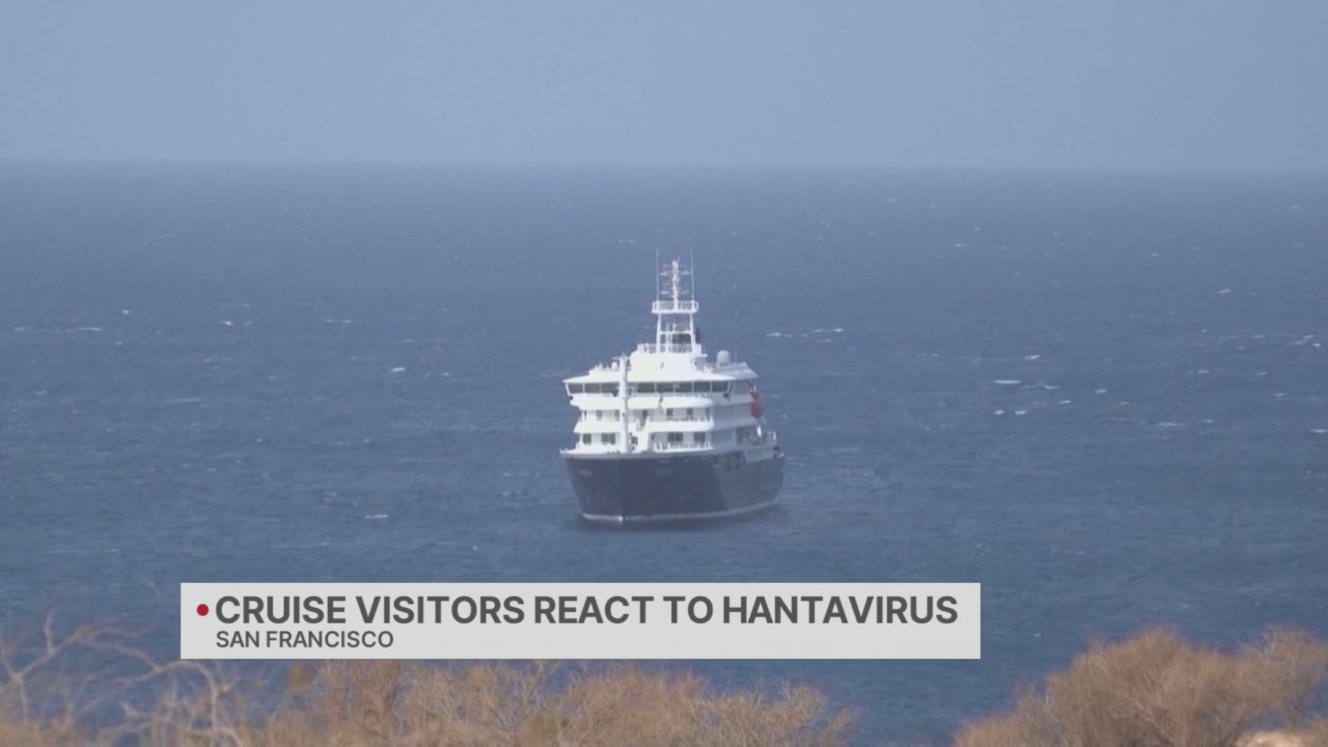 Cruise visitors in SF react to hantavirus