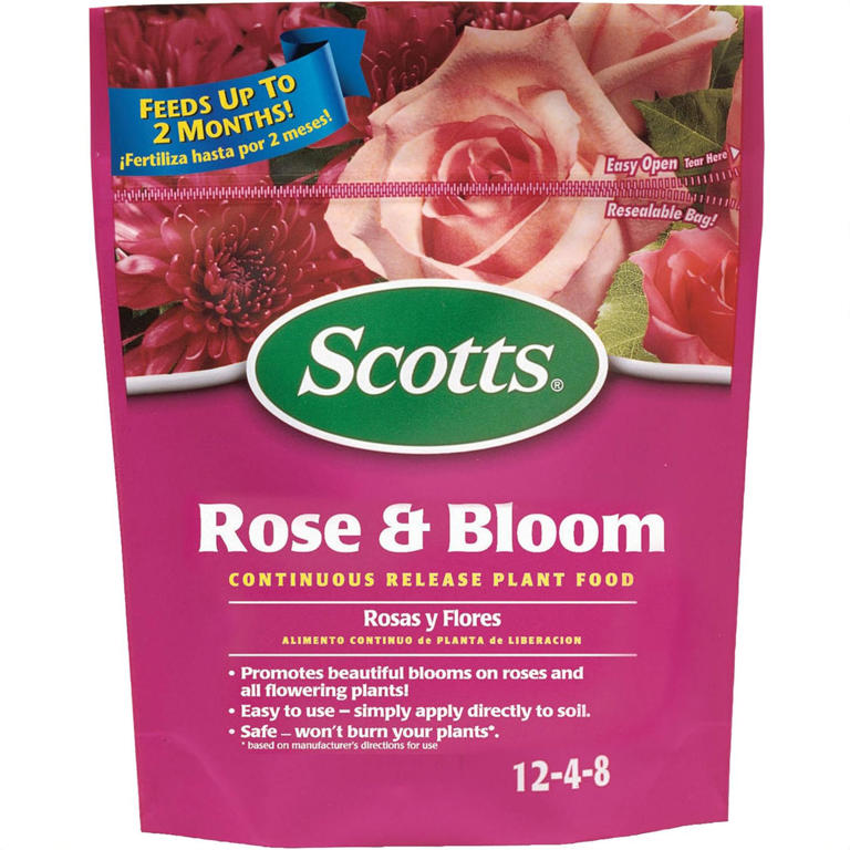 What to do with roses in May – 6 essential tasks for a spectacular ...