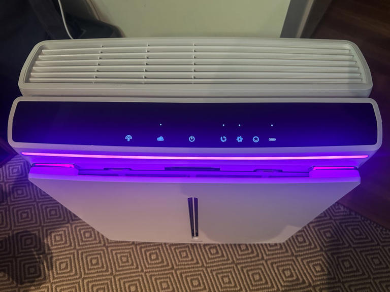 Rabbit Air’s MinusA3 ultra-quiet air purifier lives up to its name and ...
