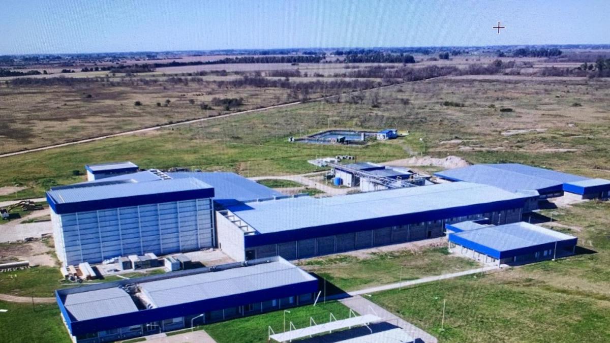 Grupo Vall Companys entra en Argentina con un crédito participativo de ...