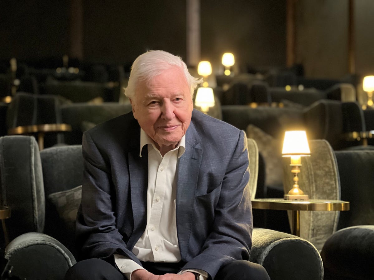 Sir David Attenborough "overwhelmed" ahead of 100th birthday as he ...